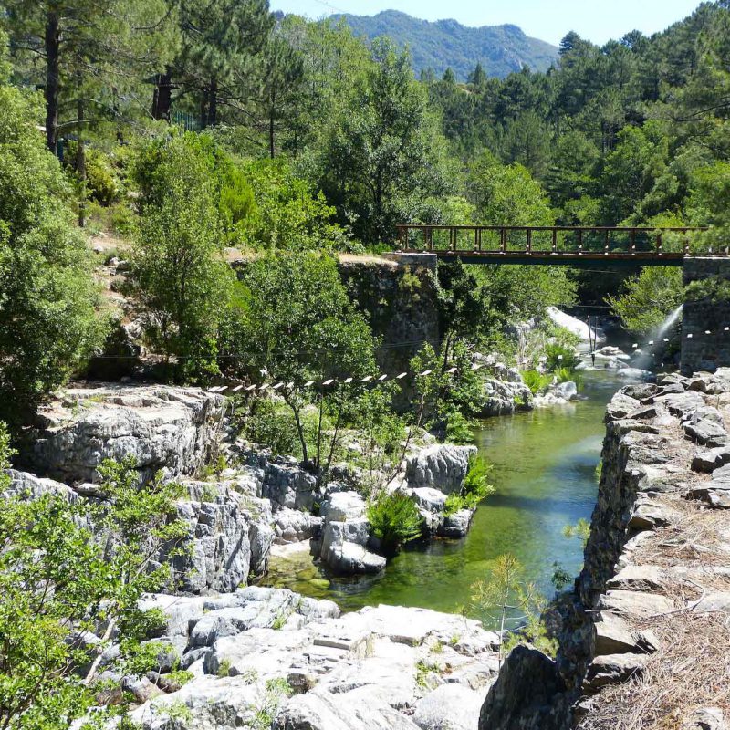 Parc Aventure Ghisoni – Découvrez de nouvelles sensations